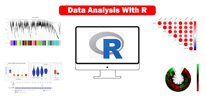 Data analysis and visualization with r programing by Biodatamaster | Fiverr