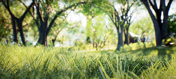 Create realistic detailed environments and levels in ue5 by ...