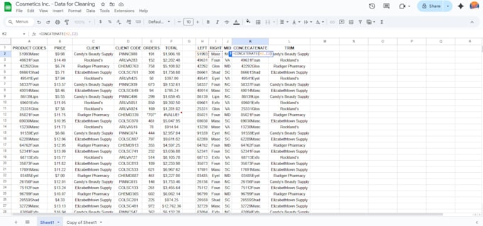 Clean,deduplicate,format and process data for analysis using excel by Prashant_chande | Fiverr
