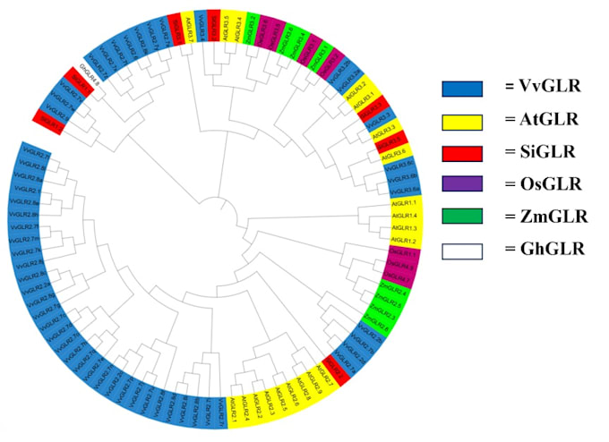 Assist in bioinformatics research and data visualization by Nouman_sp ...