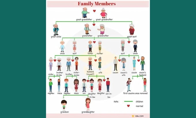 Design family tree genealogy family tree history family portrait ...