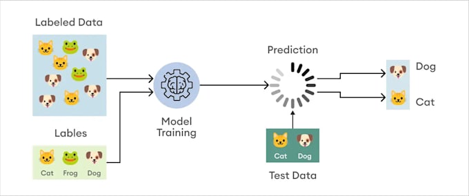 Create ml models to satisfy your needs by Jorge_dv | Fiverr