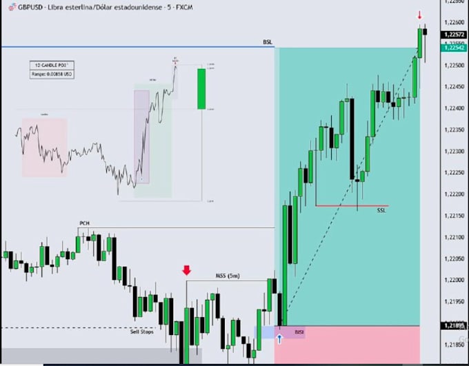 Convert tradingview pine script code to ninjatrader 7 or 8 and ctrader by Yourphe | Fiverr