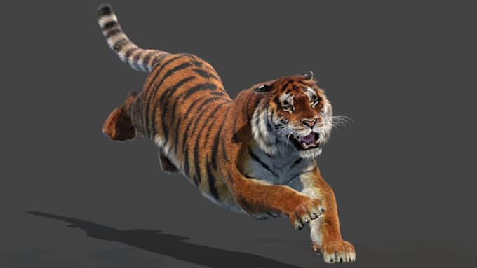 3d animal model 3d cute 3d character model 3d animal rigging animation ...