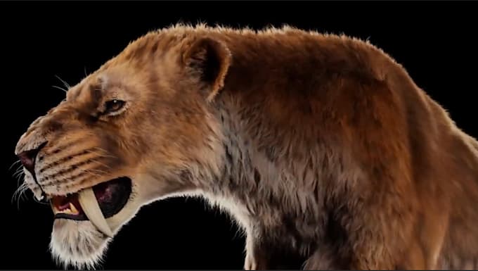 Create realistic 3d animal animation, 3d animal model, 3d animal ...