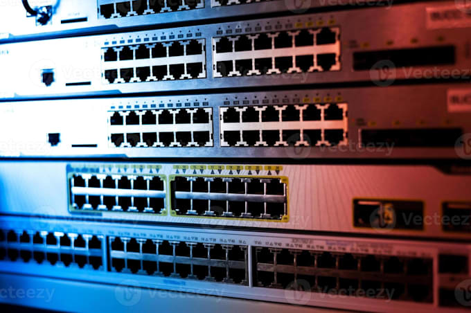 Configure network switches for data centers as per your requirements by ...
