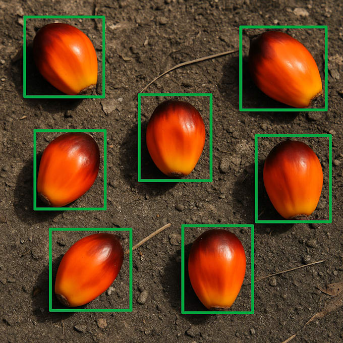 Annotate images for machine learning and object detection by Haroldjapok | Fiverr