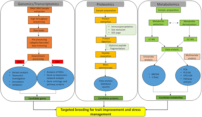 Develop robust java spring boot apis and backend systems by Mohamed_fayad | Fiverr