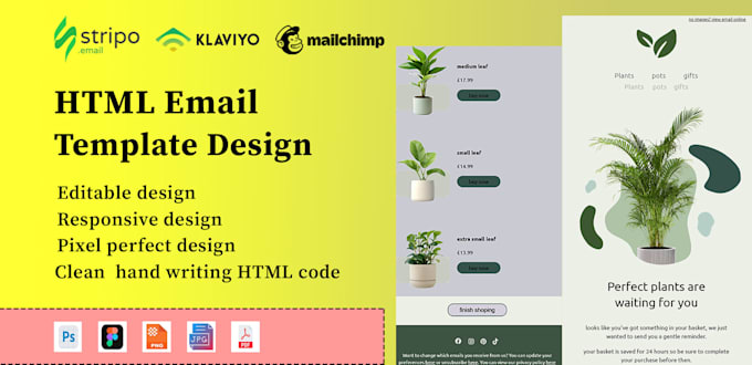 Design creative responsive email template by Rubel_uddin | Fiverr
