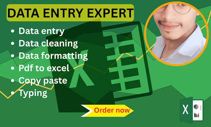 Do data entry, data formatting, data cleaning, pdf to excel by Aman_dataentry1 | Fiverr