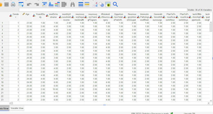 Conduct clean, accurate spss data analysis for your research project by Haleemnasar_ | Fiverr