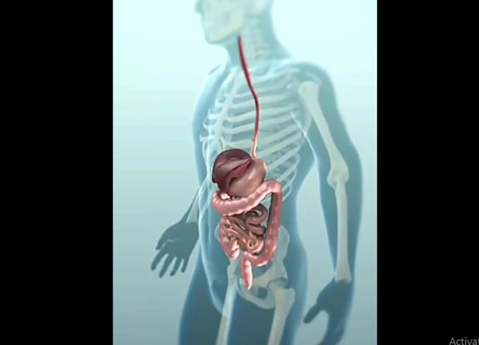 Create 3d medical surgical biological animation for you by John ...