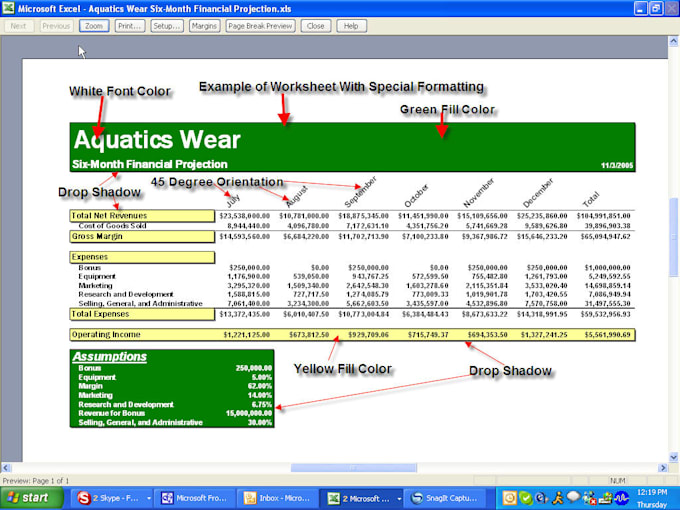 Optimize, format, or automate your excel file by Thepedalgenie | Fiverr