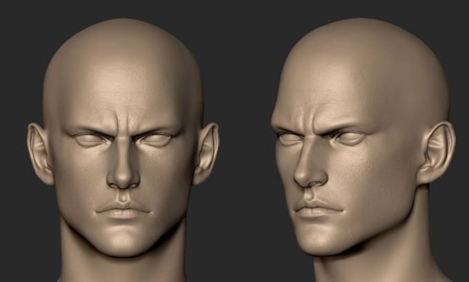 Sculpt 3d head bust 3d head model 3d bust model 3d sculpting for 3d ...