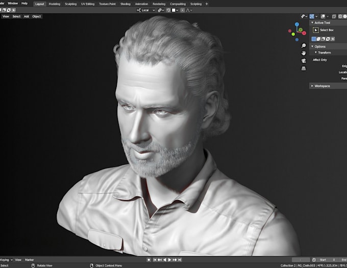 Do a 3d head sculpt, character design, 3d face model for 3d printing in ...