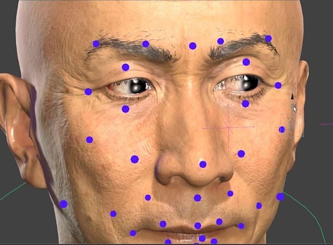 Rig 3d quadruped, rig animaze3d, biped character for wonder dynamic ...
