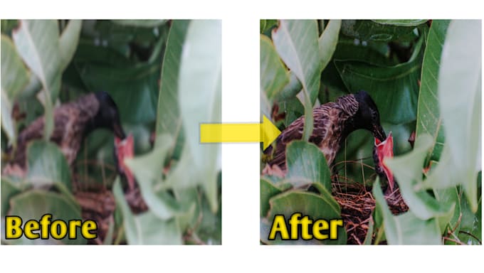 Upscale low quality image improve quality fix blurry photos by Foxilel ...