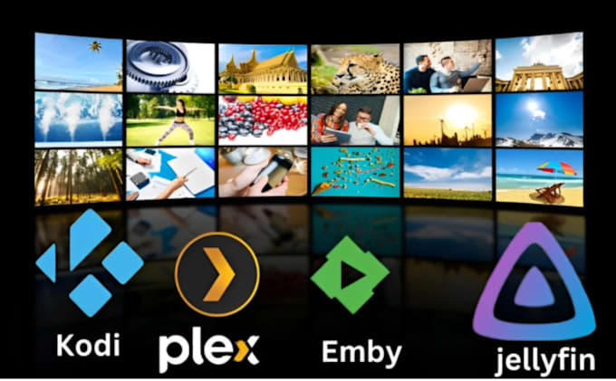Install plex media server, jellyfin, sonarr, radarr, emby, iptv, unraid server by Jonhsontom ...