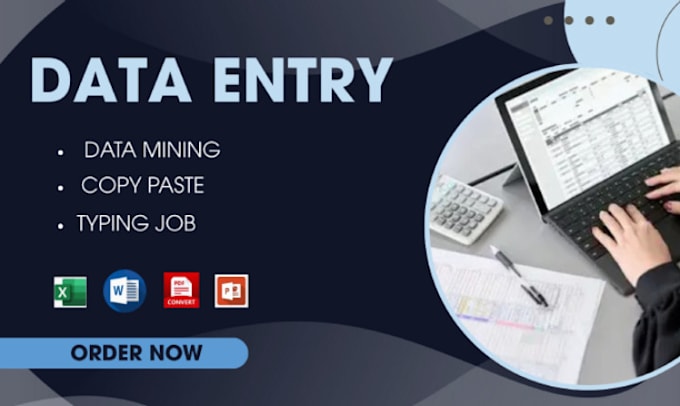 Do data entry copy paste ms excel data entry typing work job by Mehedi_nayem | Fiverr