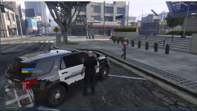 Create a professional and perfect fivem roleplay server, script, mod for you