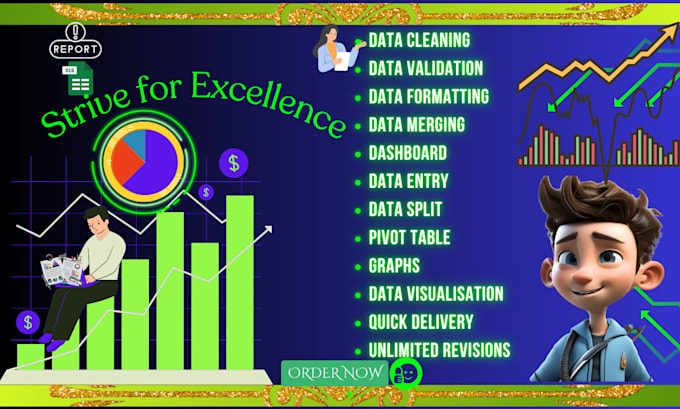 Do Dashboard Excel Data Cleaning Formating Sort Split Merge Organize Data Entry By Rajexcel1618