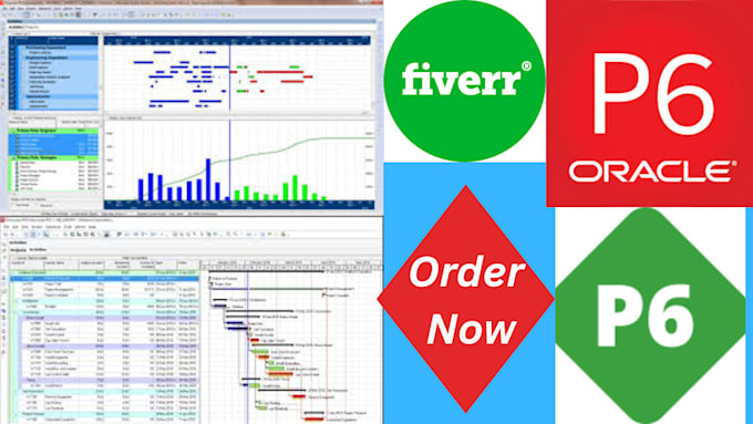 Create a professional construction schedule and gantt chart using primavera p6 by P6bynaji | Fiverr