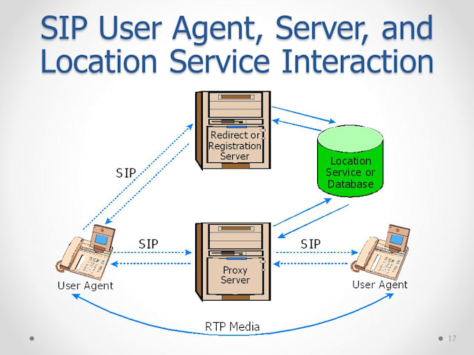 Arrange sip user, sip routes and sip trunks for usa spoof api, did ...