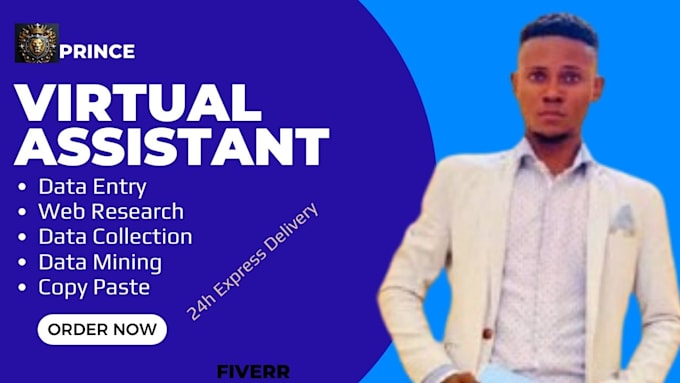 Your virtual assistant as data analyst and web researcher by ...