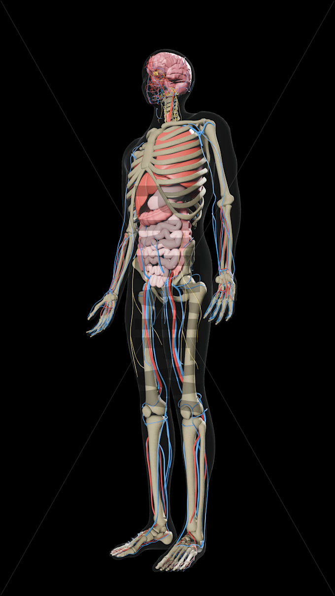 Make high quality pharmaceutical, biomedical, and medical device ...