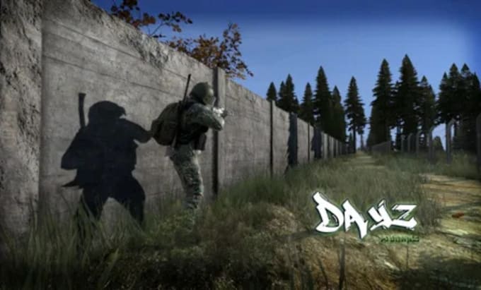 Do discord server, rust server, fivem server, dayz server promotion by ...