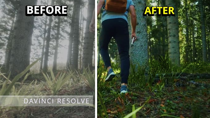 Color grade your youtube vlogs for a cinematic look by Ipsita_jena | Fiverr