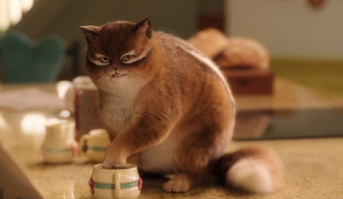 Integrate realistic 3d animal model, cgi animal rigging, cgi animal ...