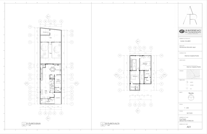 Planos arquitectónicos básicos en autocad o revit