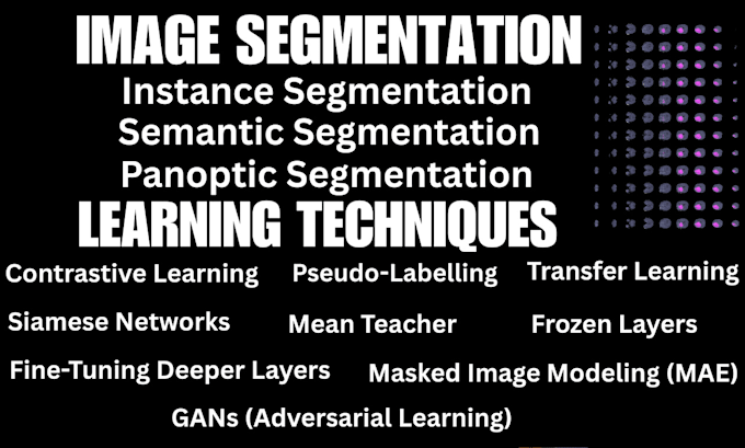 Provide instance semantic and panoptic segmentation solutions by ...