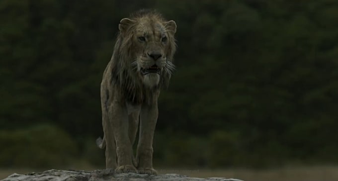 Do realistic 3d animal animation, 3d animal model and rig, fur, vfx for ...