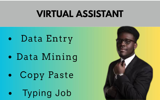 Be your virtual assistant for data entry, copy paste, data mining, excel data by Segwaris | Fiverr