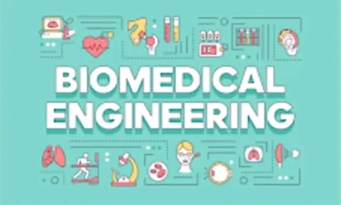 Do biomedical engineering projects with matlab and python by Mam_farah4 | Fiverr