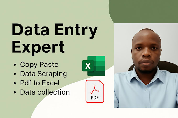Do accurate data entry in excel, google sheets or crm by Ematheka1990 | Fiverr