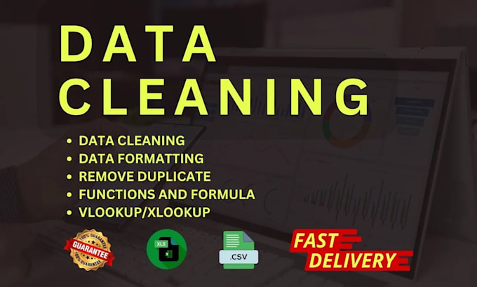Clean, format, merge, split excel data by Ravinayak99 | Fiverr