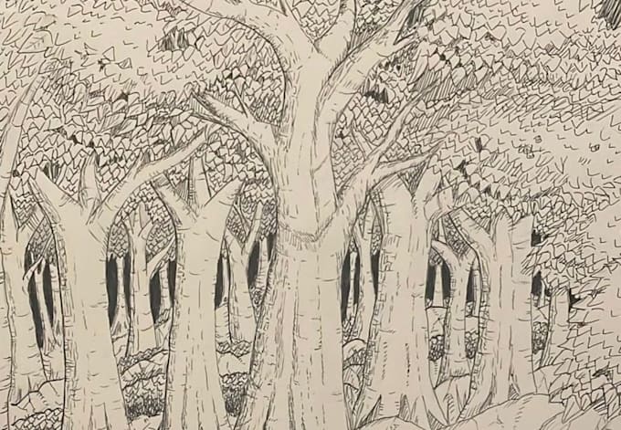 Draw line art, pencil sketch, 2d line art line art, animation, 2d ...