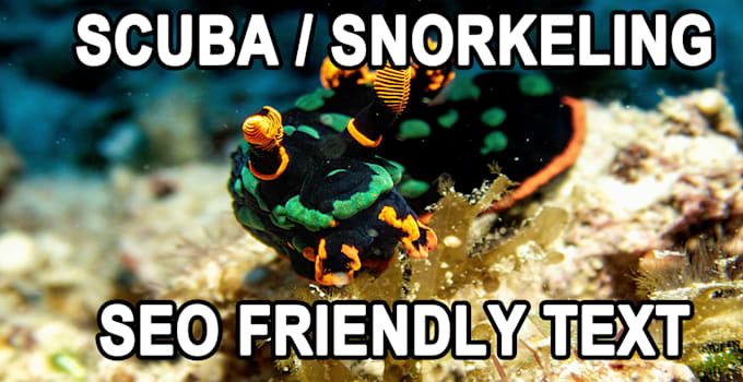 Write seo friendly scuba diving and snorkeling content by Taz_dive | Fiverr