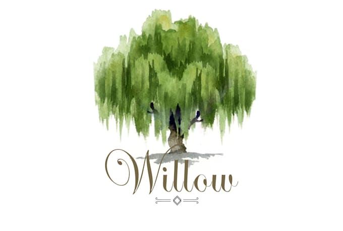 Design willow tree logo with revision by Cheriehange | Fiverr