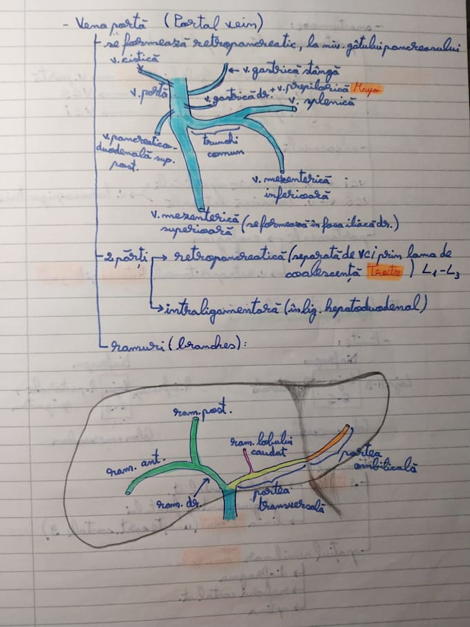 Make you understand complex pathology by Cris_medspecial | Fiverr