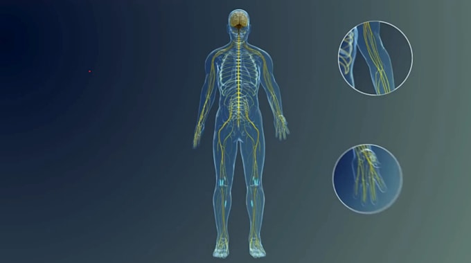 3d medical animation surgical biological anatomy illustration surgery ...