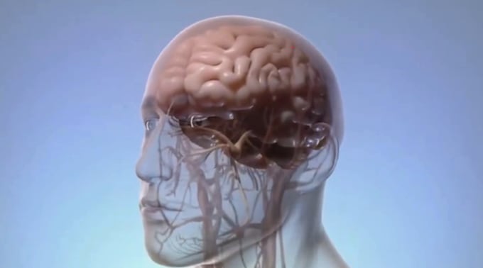 3d medical animation surgery animation surgical biological anatomy ...