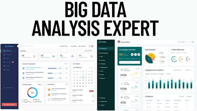 Create tableau dashboard data analyst visualization resume writing by Mutetoplee | Fiverr
