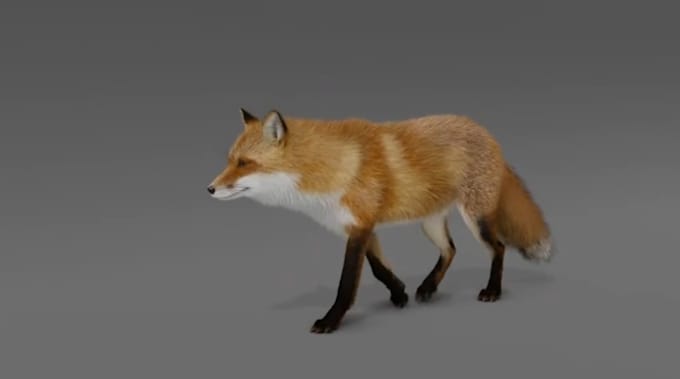 3d animal model, 3d creature model with animal realistic fur or xgen in ...
