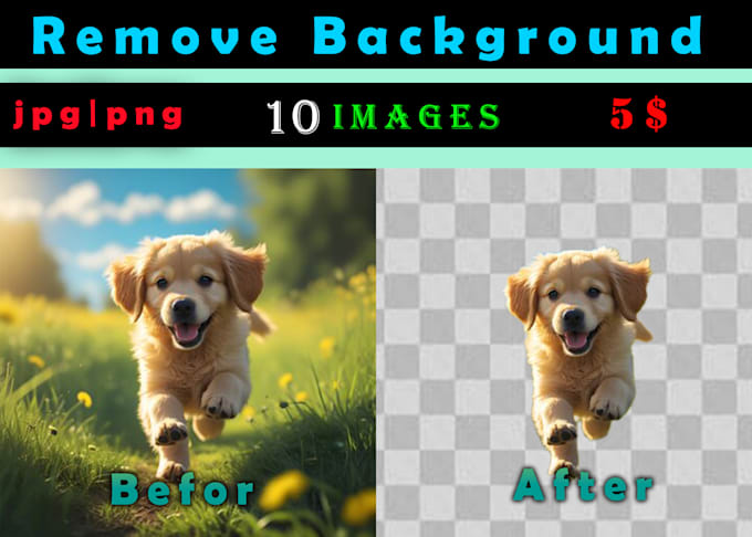 Do background removal by adobe photoshop jpg,png by Supun_creative | Fiverr