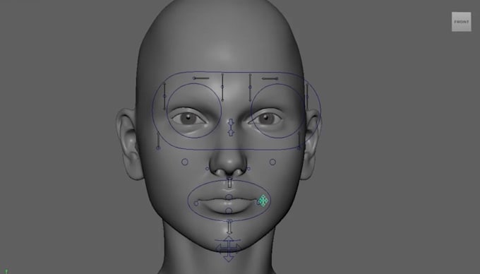 Be 3d blender rigger, rig 3d model for stream, facial rig for animaze ...
