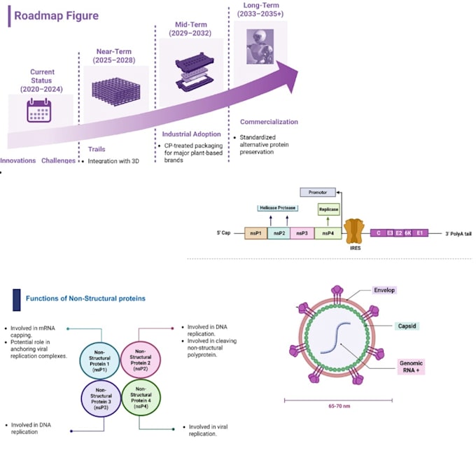 Design your scientific illustrations from biorender by Lyba_bashir | Fiverr
